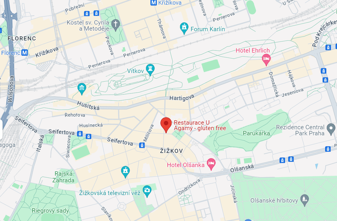 Restaurace u Agamy - Nejlepší bezlepková restaurace v Praze